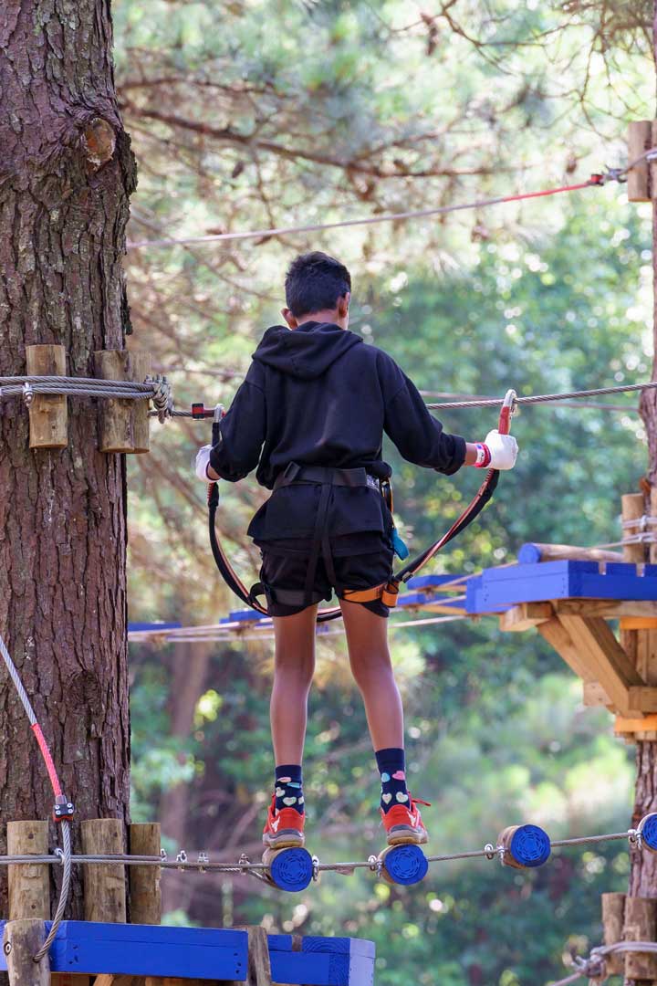 Acro-twigs (Yellow) – Epic Escapades